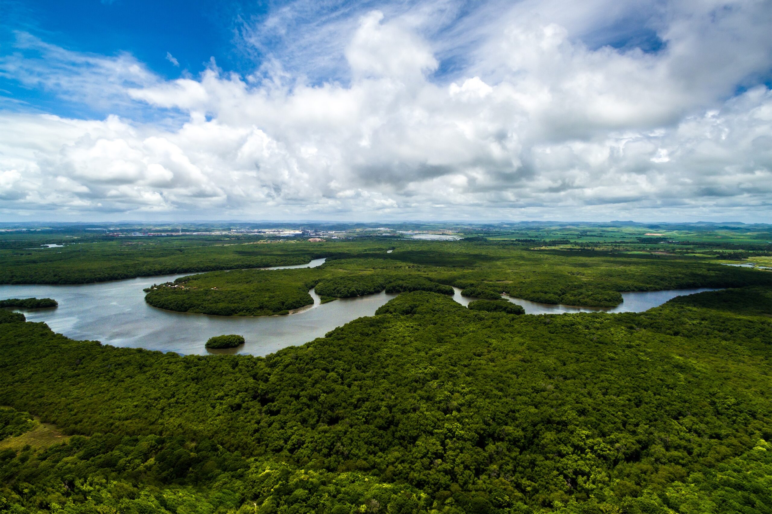 Projeto cria marco para exploração sustentável da Amazônia - Portal do ...
